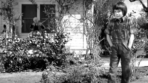 The Moral Vision of Atticus Finch in "To Kill A Mockingbird" – Lesson Plan